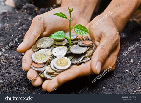 Hand Holding Tree Growing On Coins Stock Photo 167274452 Shutterstock