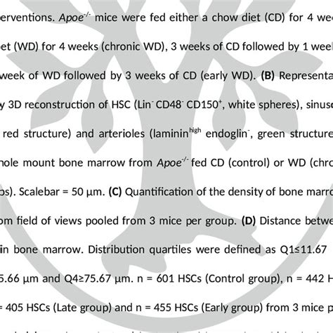 Short Term Wd Alters Bone Marrow Physiology A Schematic