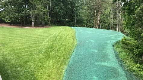 Diy Hydroseeding Guide Nz Step By Step Lawn Seeding For A Lush Green Yard