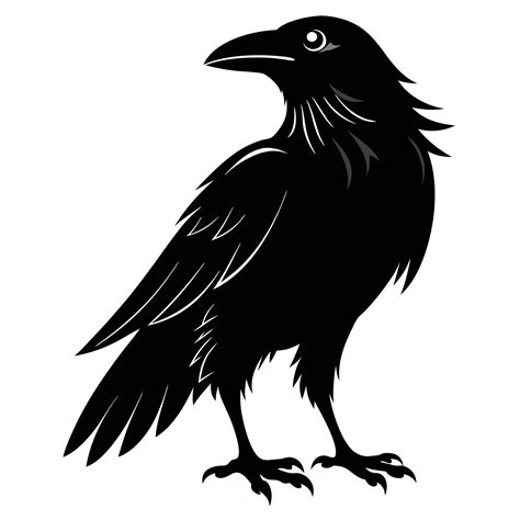 Black Crow Illustration 49353501 Vector Art At Vecteezy