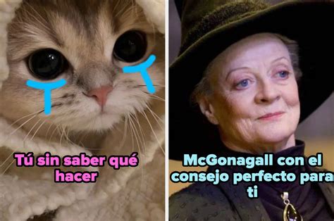 Muere Maggie Smith ¿qué Mensaje Te Daría La Profesora Mcgonagall Quiz