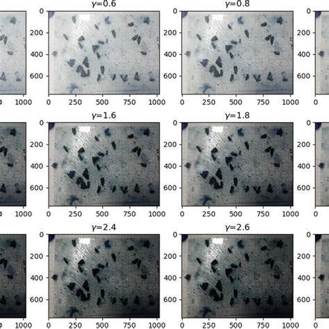 The Effect Of Gamma Correction On A Sample Image Download Scientific