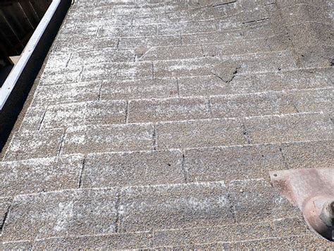 Common Composition Shingle Roof Findings