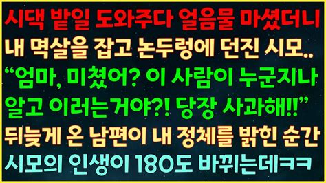 반전신청사연 시댁 밭일 도와주다 얼음물 마셨다고 날 논두렁에 던진 시모 엄마 이 사람 누군지 알고 이러는거야 남편이 내 정체를 밝힌 순간 시모 인생이 180도