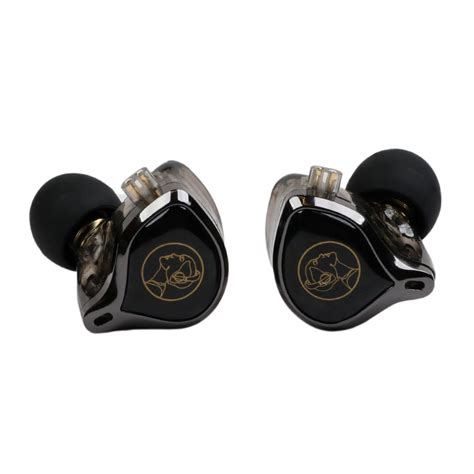 Type C Iem Earphones In India The Audio Store