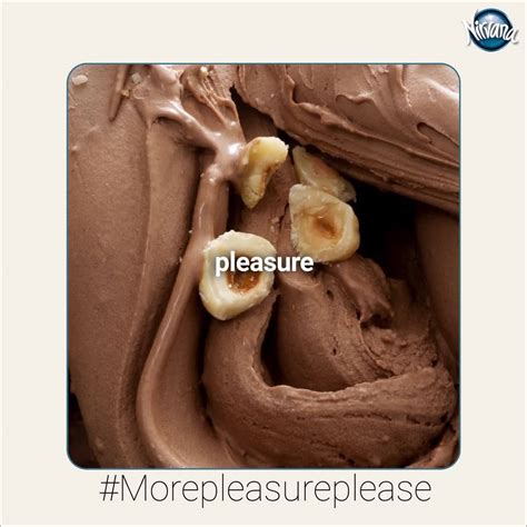 Nestle Ice Cream Bulgaria Nirvana Caramel Fudge