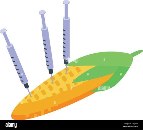 Isometric Vector Of A Corn Cob With Syringes Representing Gmo Food Stock Vector Image And Art Alamy