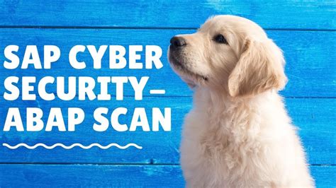 SAP Cyber Security RS ABAP SOURCE SCAN YouTube