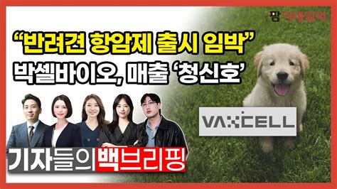 반려견 항암제 출시 임박 박셀바이오 매출 청신호 팜이데일리 Youtube