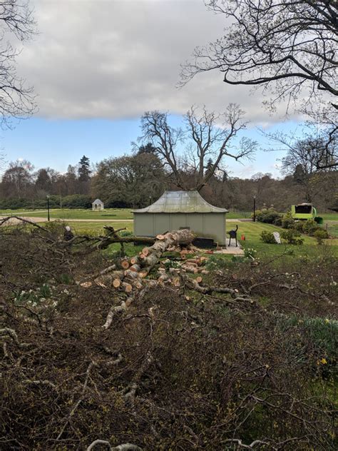 Roots Up Tree Surgery Ltd Fife Trusted Trader