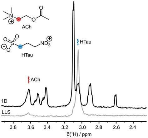 Hyperpolarization Of Long Lived States Of Protons In Aliphatic Chains
