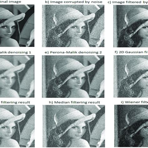 Method Comparison Image Filtered With Various Denoising Techniques Download Scientific Diagram