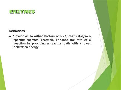 The Chemical Nature Of Enzymes Naming And Classification Of Enzymesppt