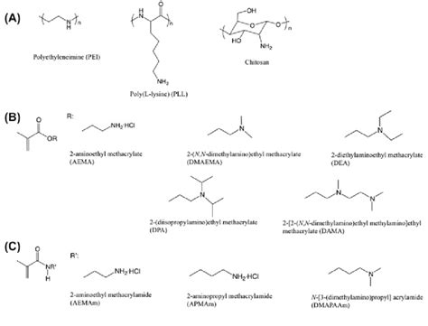 Chemical Structures Of Synthetic Natural Cationic Polymers A