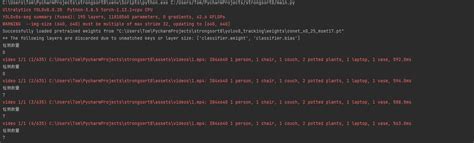 strongsort no objects were detected in the first two frames of the