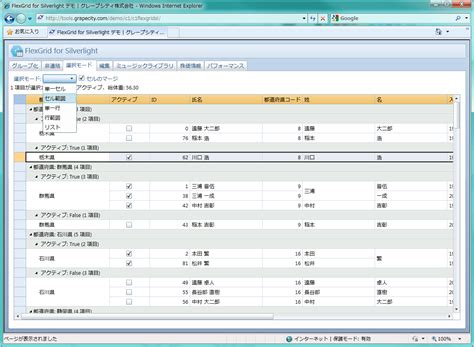 Flexgrid For Silverlight（日本語版）