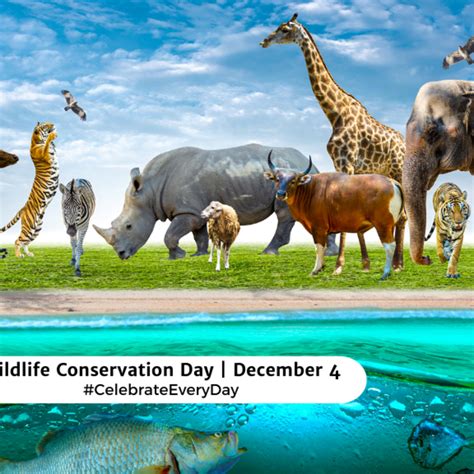 Wildlife Conservation Day Is December 4