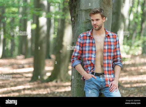 Unshaven Lumbersexual Man In Unbuttoned Lumberjack Shirt Forest Background Copy Space Stock