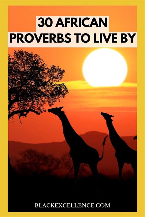 30 African Proverbs To Live By African Proverb Funny African