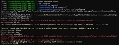 Problem Running Isaacgym Example Isaac Gym Nvidia Developer Forums