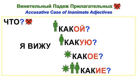 22 Винительный падеж прилагательных Accusative Case Of Inanimate Adjectives Exercises Youtube