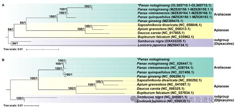植物线粒体基因组 中药三七的线粒体基因组研究揭示了通过与dna复制相关的重复序列介导的重组现象 知乎