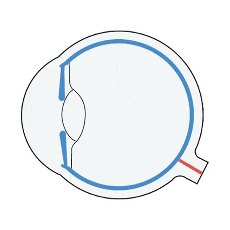 郑州卓美眼科全飞秒激光近视手术怎么做？ 财经头条