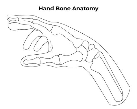 Premium Vector Hand Ganglion Cyst Structure Disease Diagram Schematic