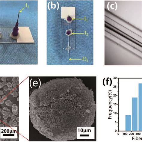 Monodisperse Cp Mss Fabrication Based On A Capillary Microfluidic
