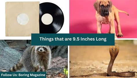 5 Common Items That Are 95 Inches Long Boring Magazine