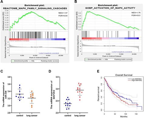 Gsea And Target Gene Statistical Analysis A B Gsea C D