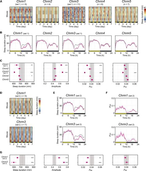 Muscarinic Acetylcholine Receptors Chrm1 And Chrm3 Are Essential For Rem Sleep Cell Reports