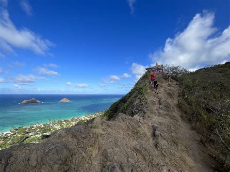Hiking The Lanikai Pillbox Trail Kaʻiwa Ridge On Oʻahu Hawaiʻi