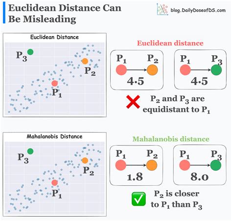What Makes Euclidean Distance A Misleading Choice For Distance Metric
