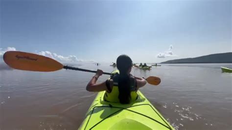 Steven Meng Phd On Linkedin Beautiful Wonderful