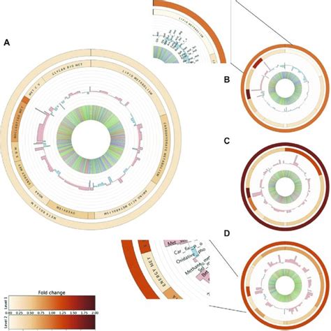 Transcriptome Profiling Of The Four Step Bj Cell Model For Malignant