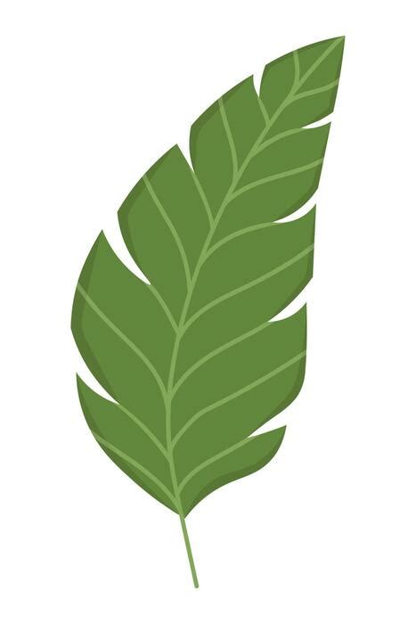 2d Leaf Vector Art Icons And Graphics For Free Download