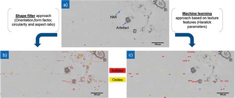 Machine Learning In The Microscopy Lab Wiley Analytical Science