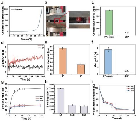 Hydrogel Transformable Antioxidant Poly γ Glutamic Acid
