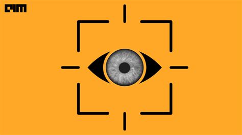 Yolo V8 Claims To Be Faster Precise For Better Object Detection Image