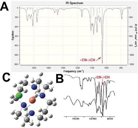 3 3 Comparison Of A Theoretical Ir Spectra Of Cu Cyclam Monochloride Download Scientific