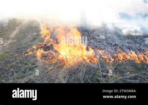 Ecological Grass Grass Stock Videos And Footage Hd And 4k Video Clips Alamy