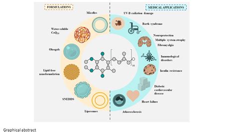 Coenzyme Q10 Benefits Pubmed At Janet Simmons Blog