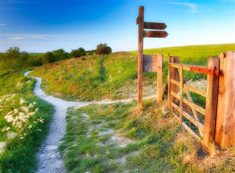 Fork In The Trail Jigsaw Puzzle