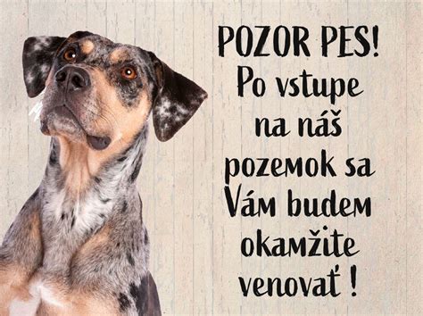 Louisianský Leopardí Pes Tabuľka Pozor Pes Pozor Pes Po Vstupe Na Náš Pozemok Sa Vám Budem