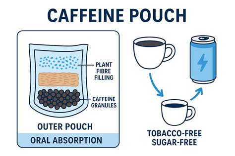 Caffeine Pouches Guide 2025 Your Essential User Handbook Snusbox Blog