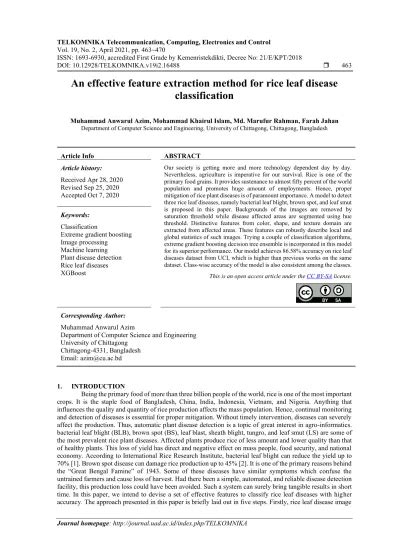 An Effective Feature Extraction Method For Rice Leaf Disease Classification