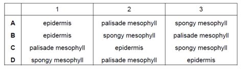 Igcse Biology 0610 6 2 Leaf Structure Igcse Style Questions Paper 1