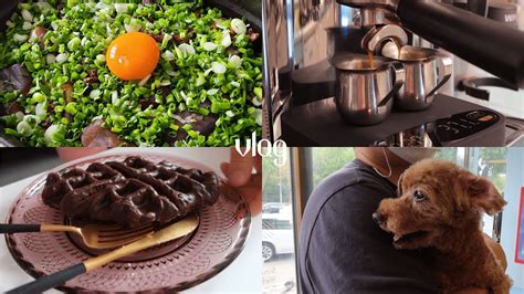 Vlog 일상 브이로그 가지🍆솥밥 만들기 홈카페 에스프레소 친구네 놀러가서 아기와 놀기 배달 먹방 개와 냥이의 집사의 삶🐶🐱 Youtube