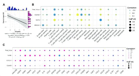 Co Expression Modules Reprogram The Immune Microenvironment Of